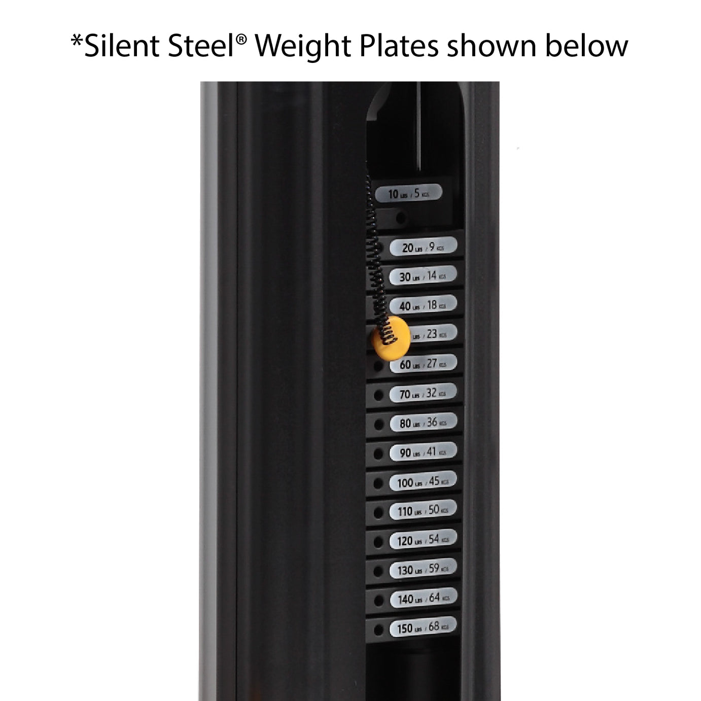 Hoist Weight Machine Plates | EOUA Blog